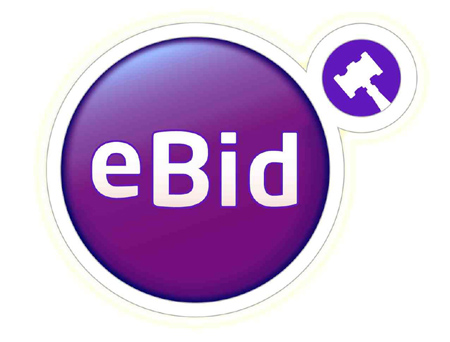 Sellers Choice 2019 Marketplace Ratings: eBid - EcommerceBytes